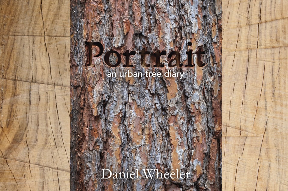 Portrait: an urban tree diary | Offerman Woodshop